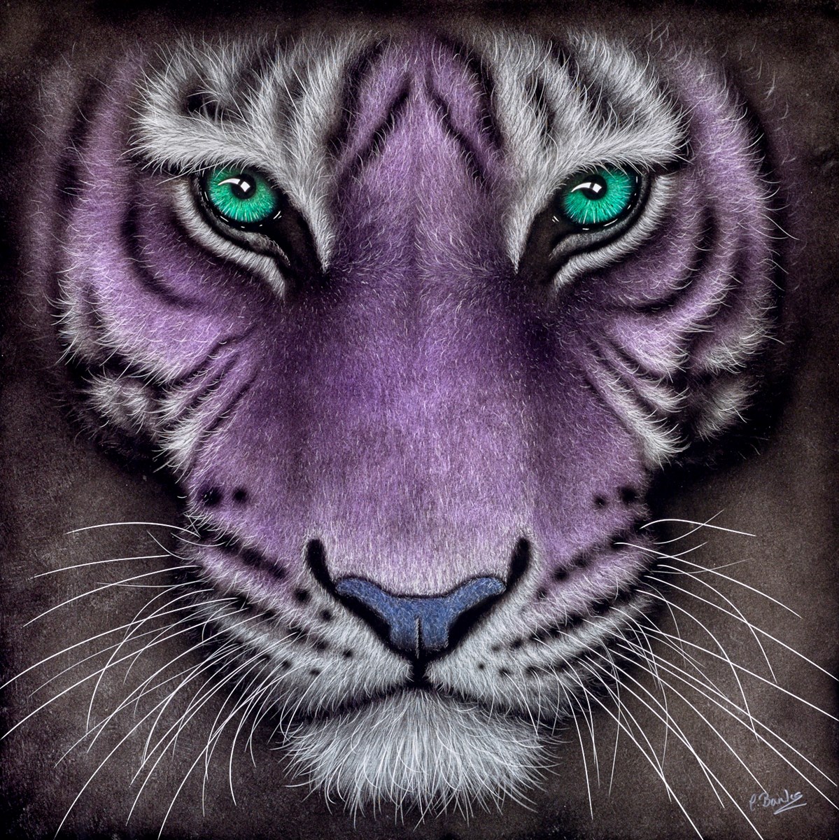 Colin Banks | DeMontfort Fine Art